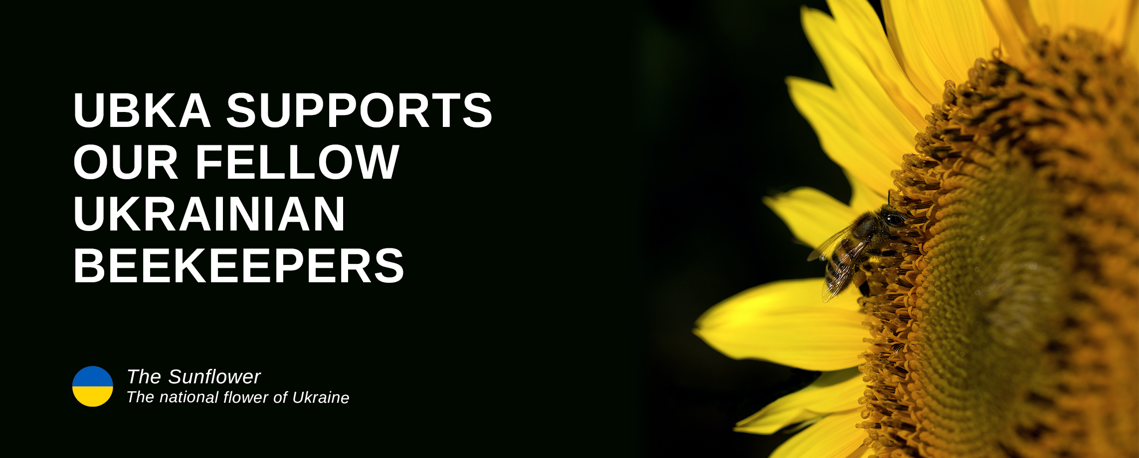 Ulster Beekeepers Association